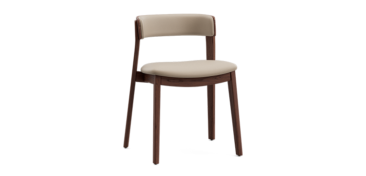 Dining Room Chairs